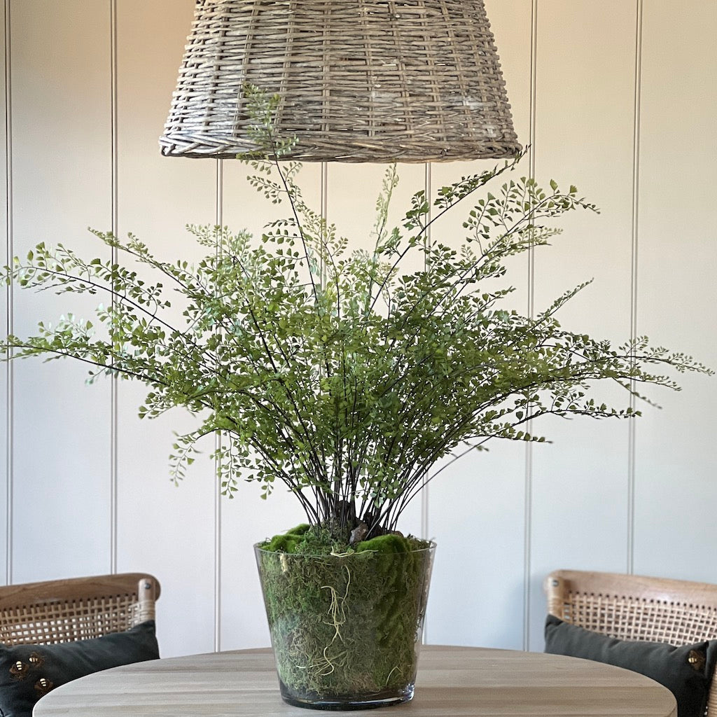 Large Maiden Hair Fern Glass Pot – Cowshed Interiors